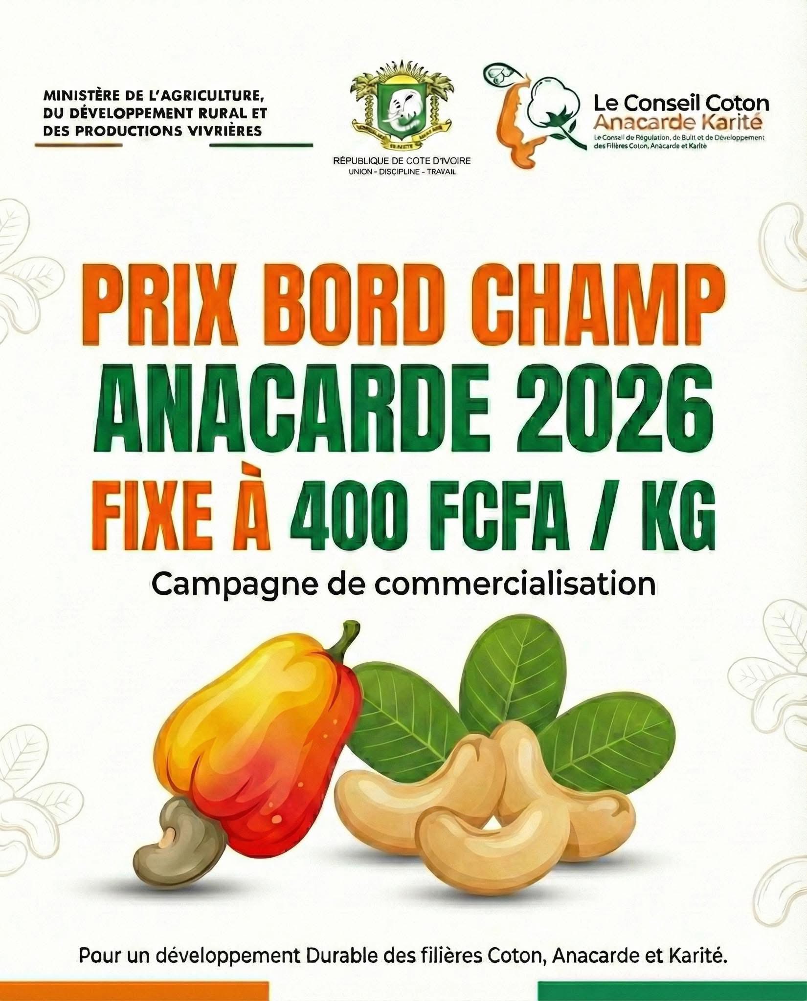 Filière Anacarde : Le prix bord-champ fixé à 400 FCFA/Kg pour la ...